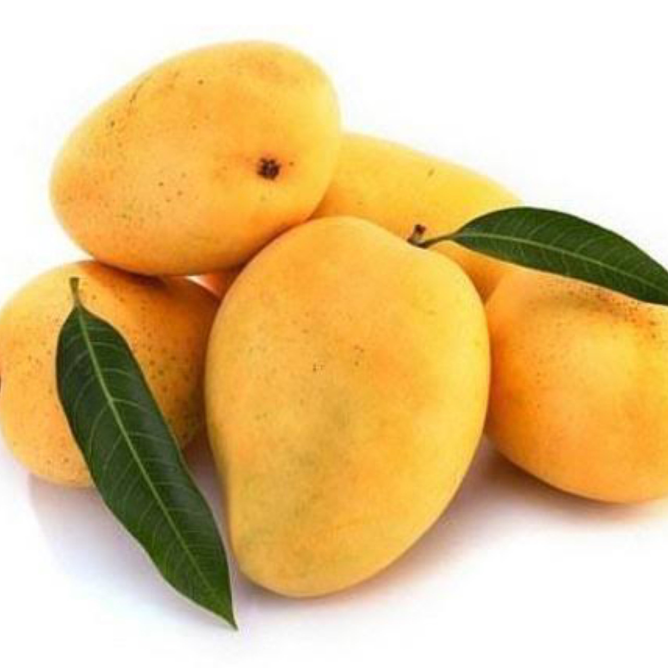Catalina Mango Each | Saffron INdian Grocery N Kitchen